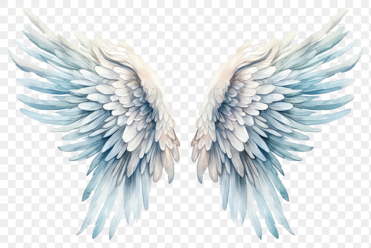 PNG Angel bird creativity archangel | Free PNG - rawpixel