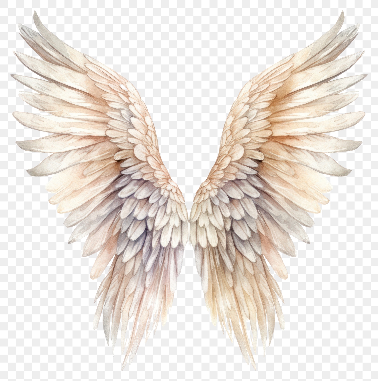 PNG Angel bird creativity archangel | Free PNG - rawpixel