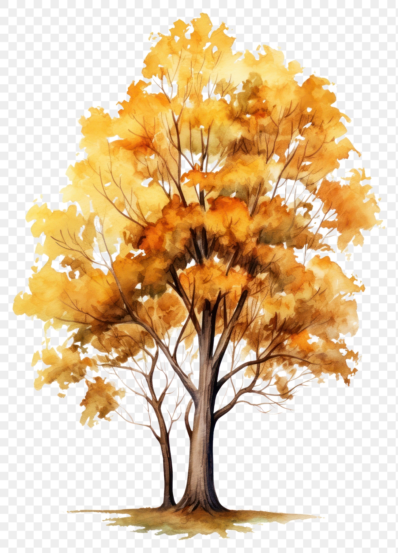 PNG Tree drawing autumn sketch | Premium PNG - rawpixel
