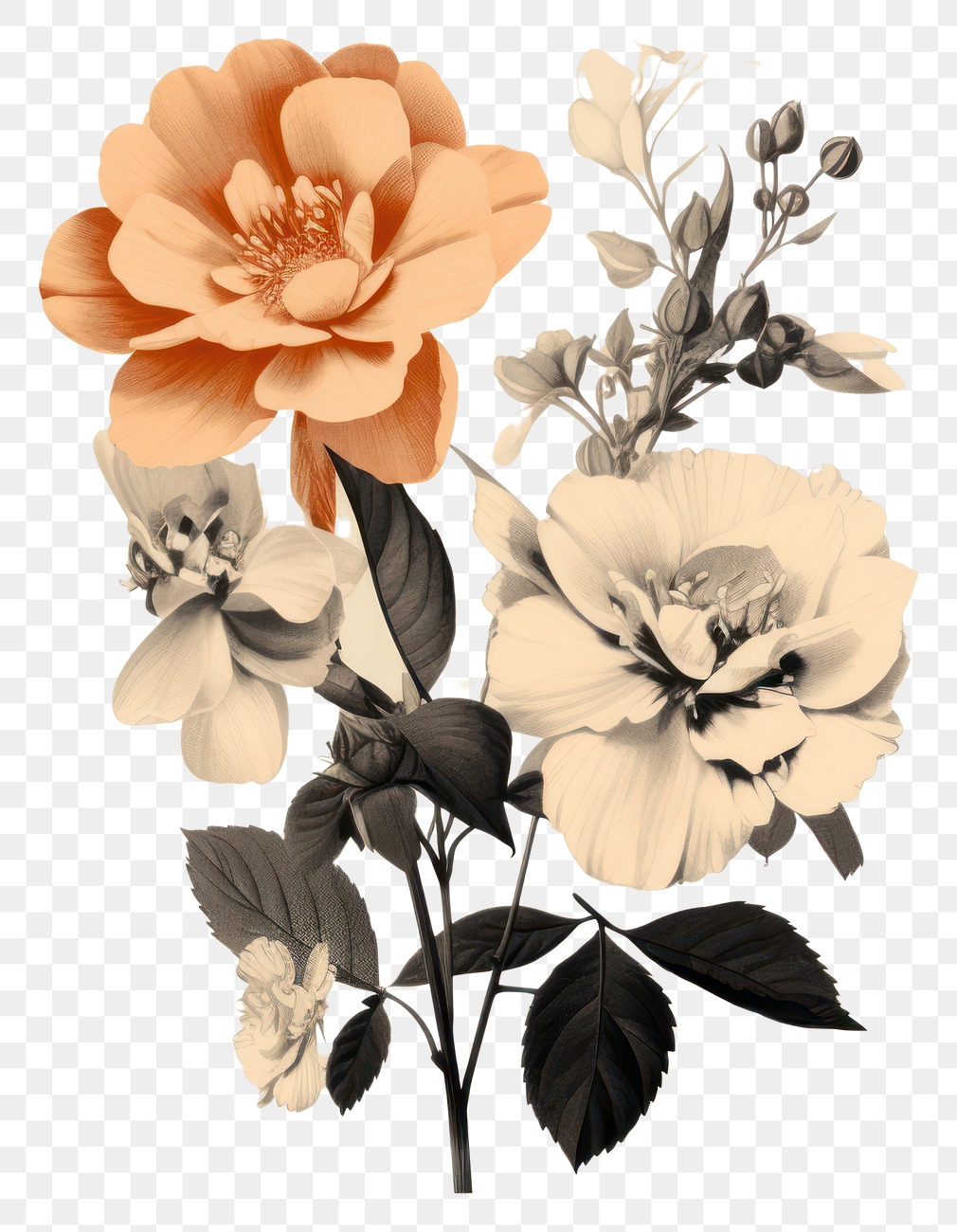 PNG Drawing flower pattern sketch. | Premium PNG - rawpixel