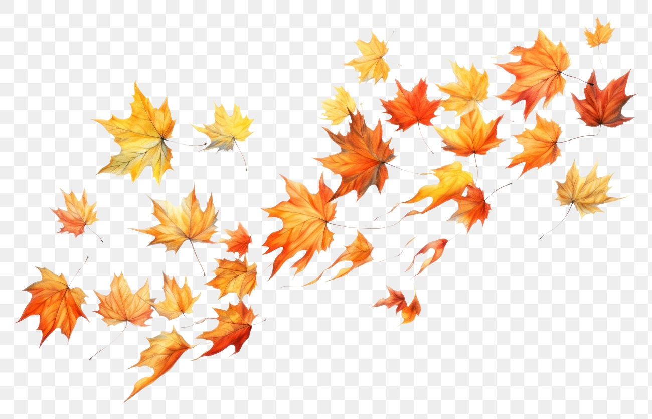 PNG Backgrounds falling autumn leaves | Free PNG - rawpixel