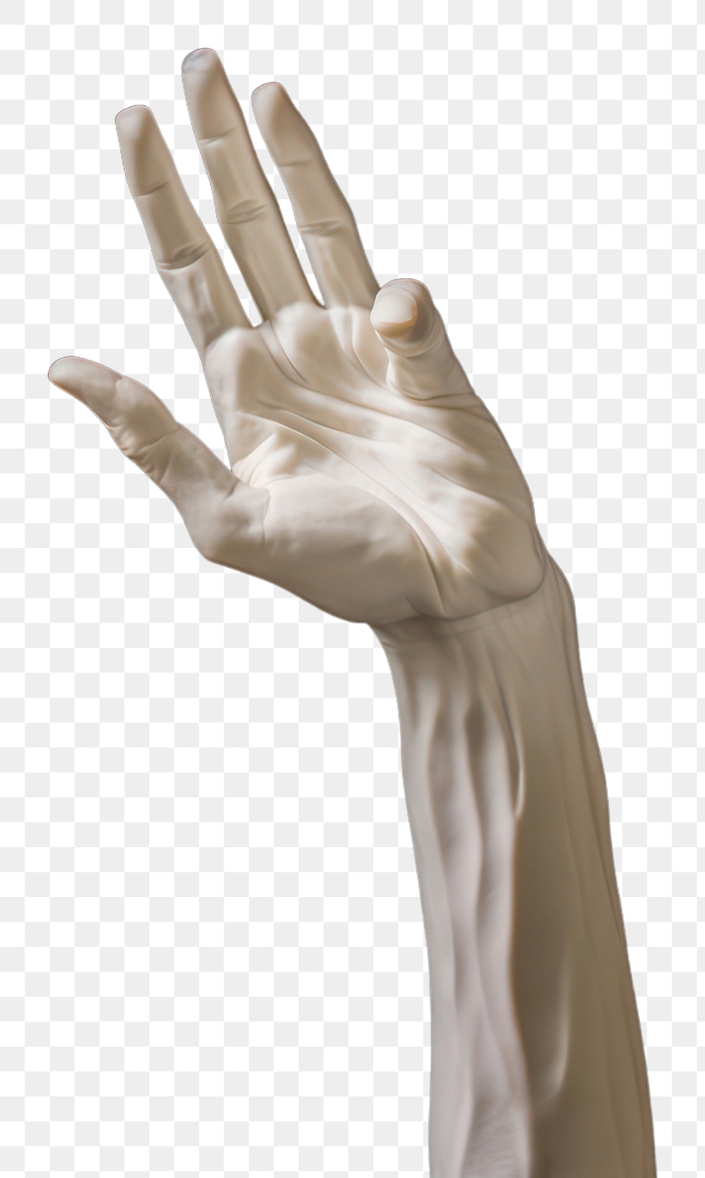 PNG Hand finger human gesturing | Premium PNG - rawpixel
