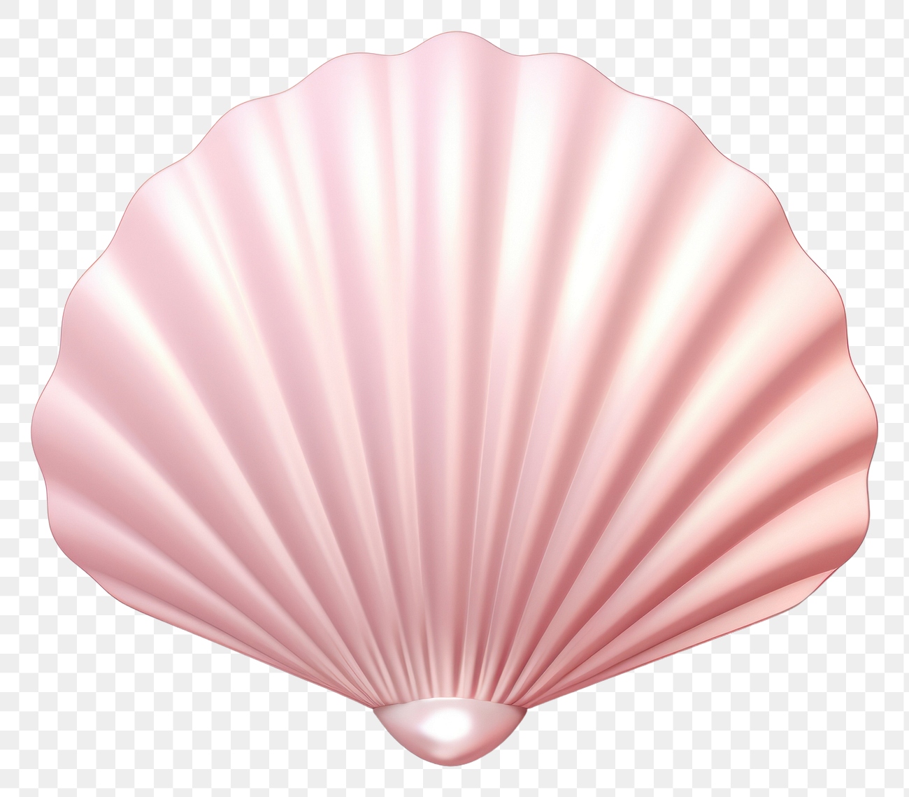 PNG Seashell clam transparent background | Premium PNG - rawpixel