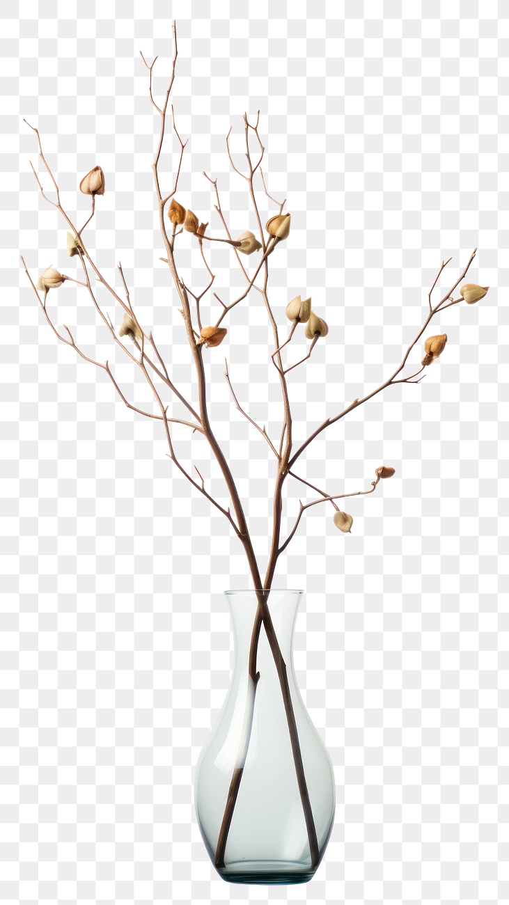 PNG Vase decoration branch flower | Premium PNG - rawpixel