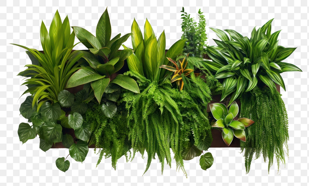 PNG Plant planter nature garden. | Premium PNG - rawpixel