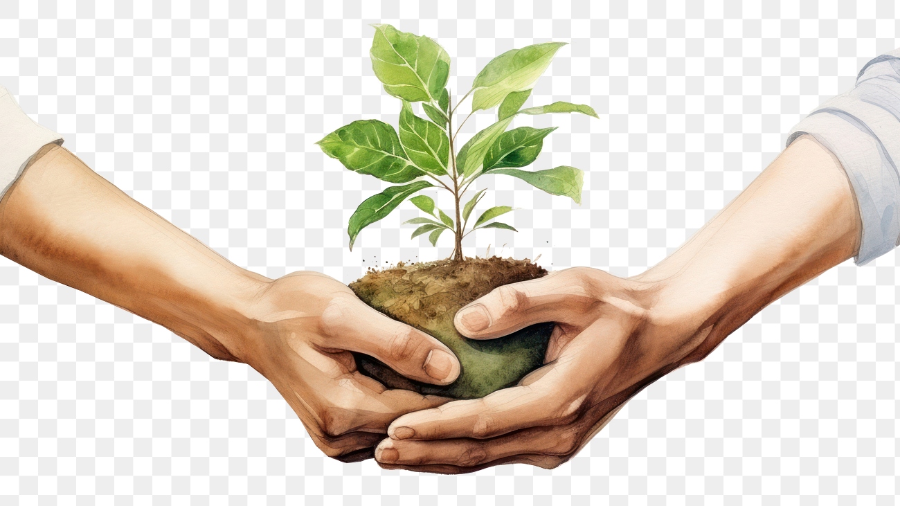 PNG Plant hand gardening planting. | Premium PNG - rawpixel