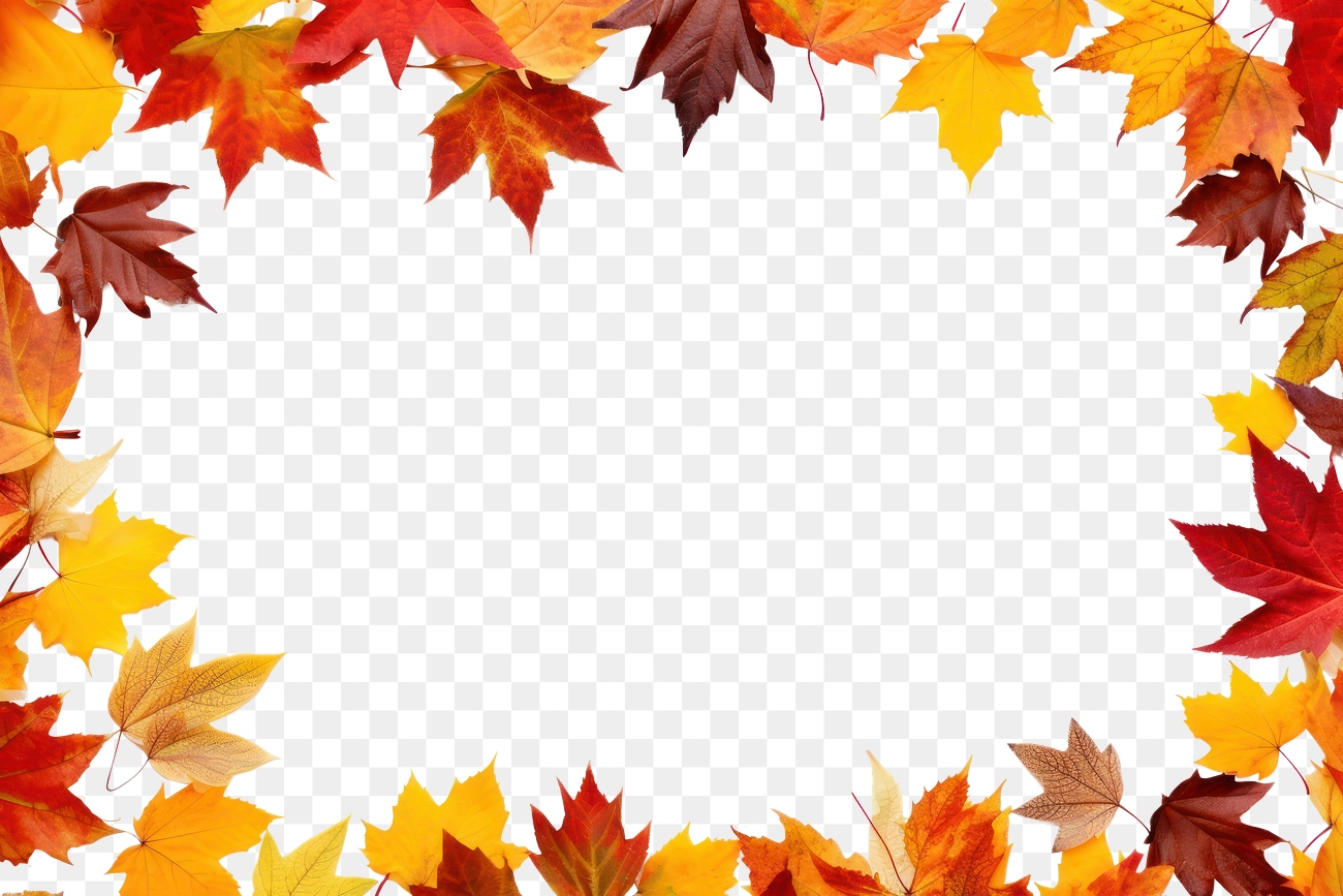 PNG Fall leaves frame backgrounds | Free PNG - rawpixel