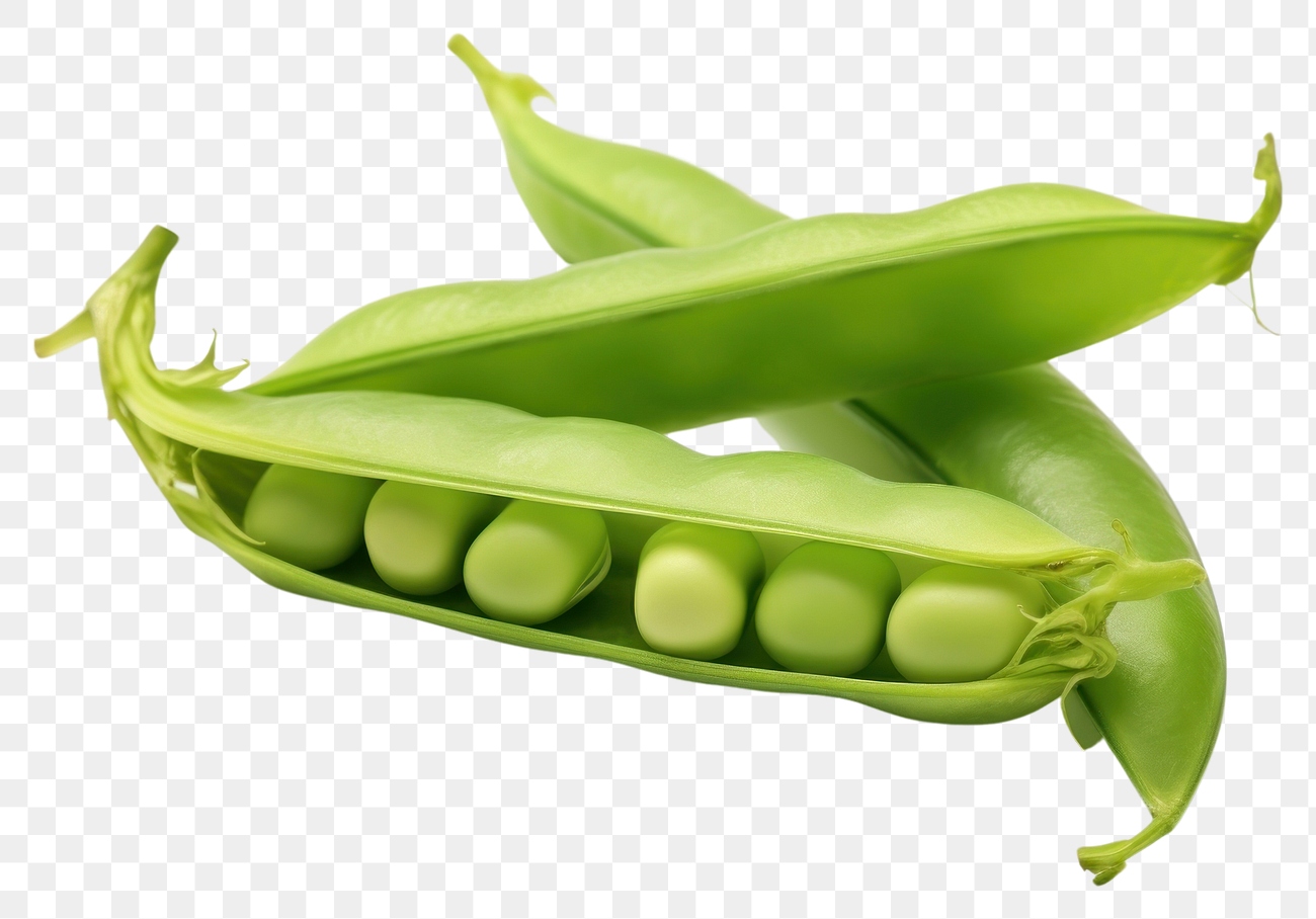 PNG Pea vegetable plant food | Free PNG - rawpixel