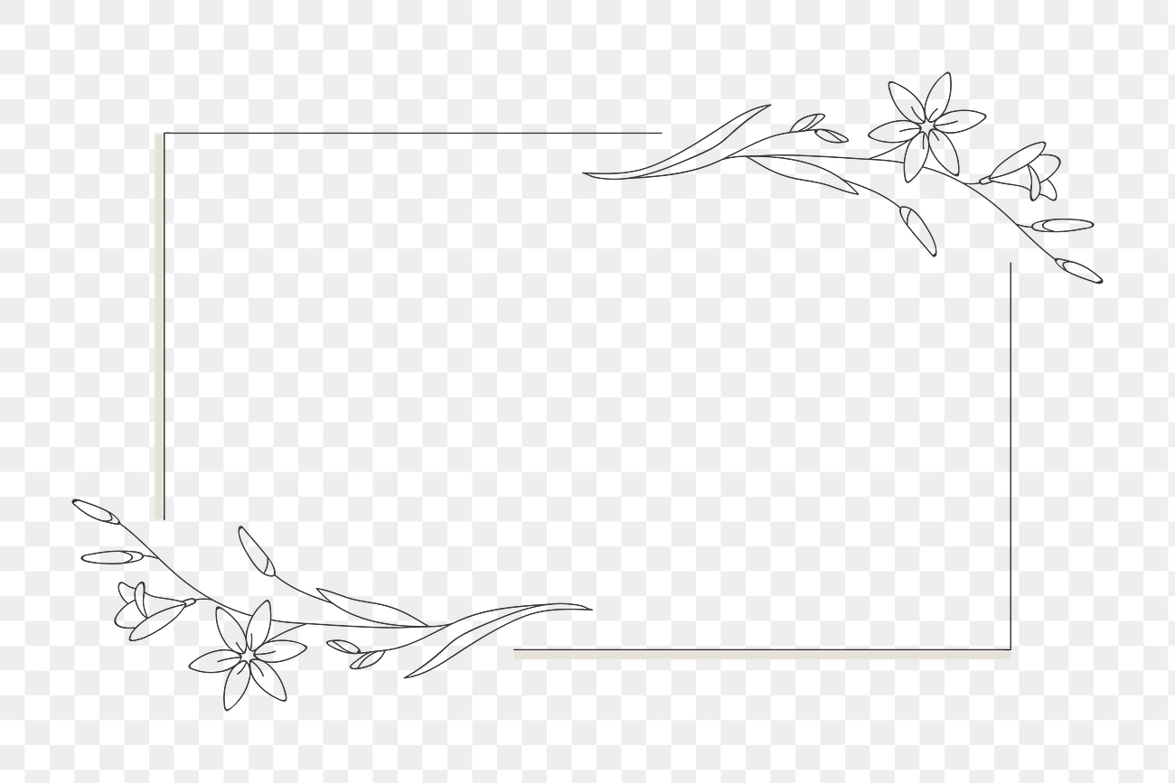 Minimal flower png frame, transparent | Premium PNG - rawpixel