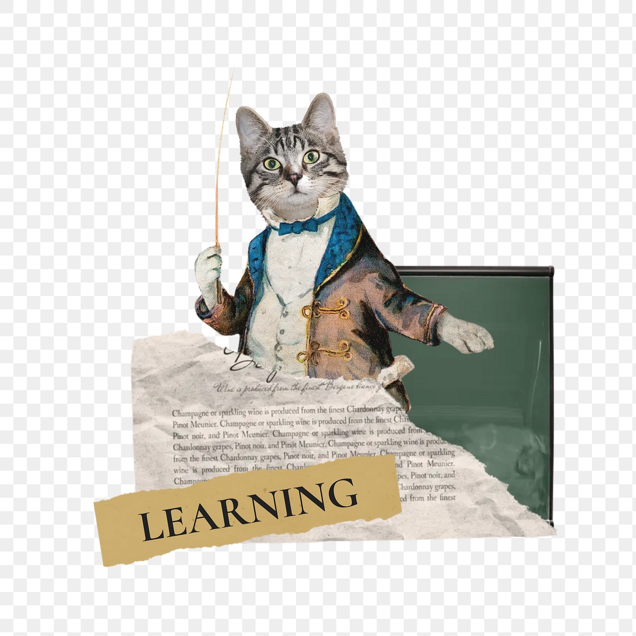 Learning png word, collage art | Premium PNG - rawpixel