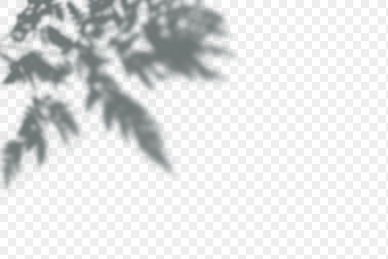 PNG Shadow leaves, transparent background | Premium PNG - rawpixel