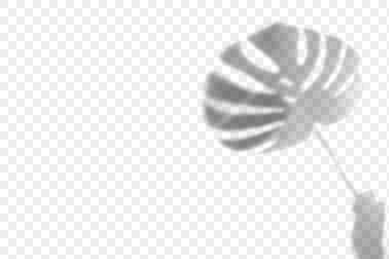 Shadow Monstera leaf design element | Premium PNG - rawpixel