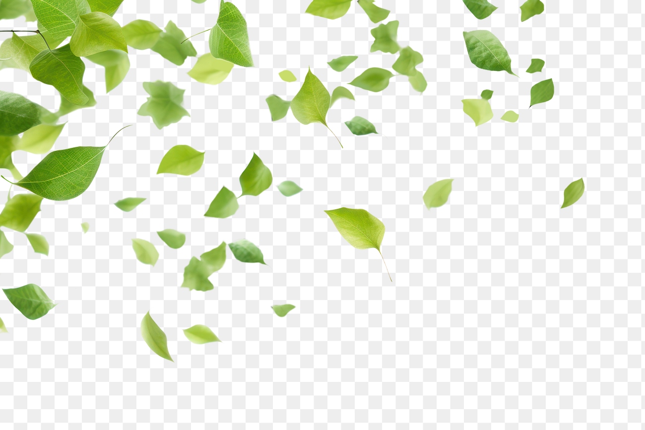Falling leaf png, transparent background | Premium PNG - rawpixel