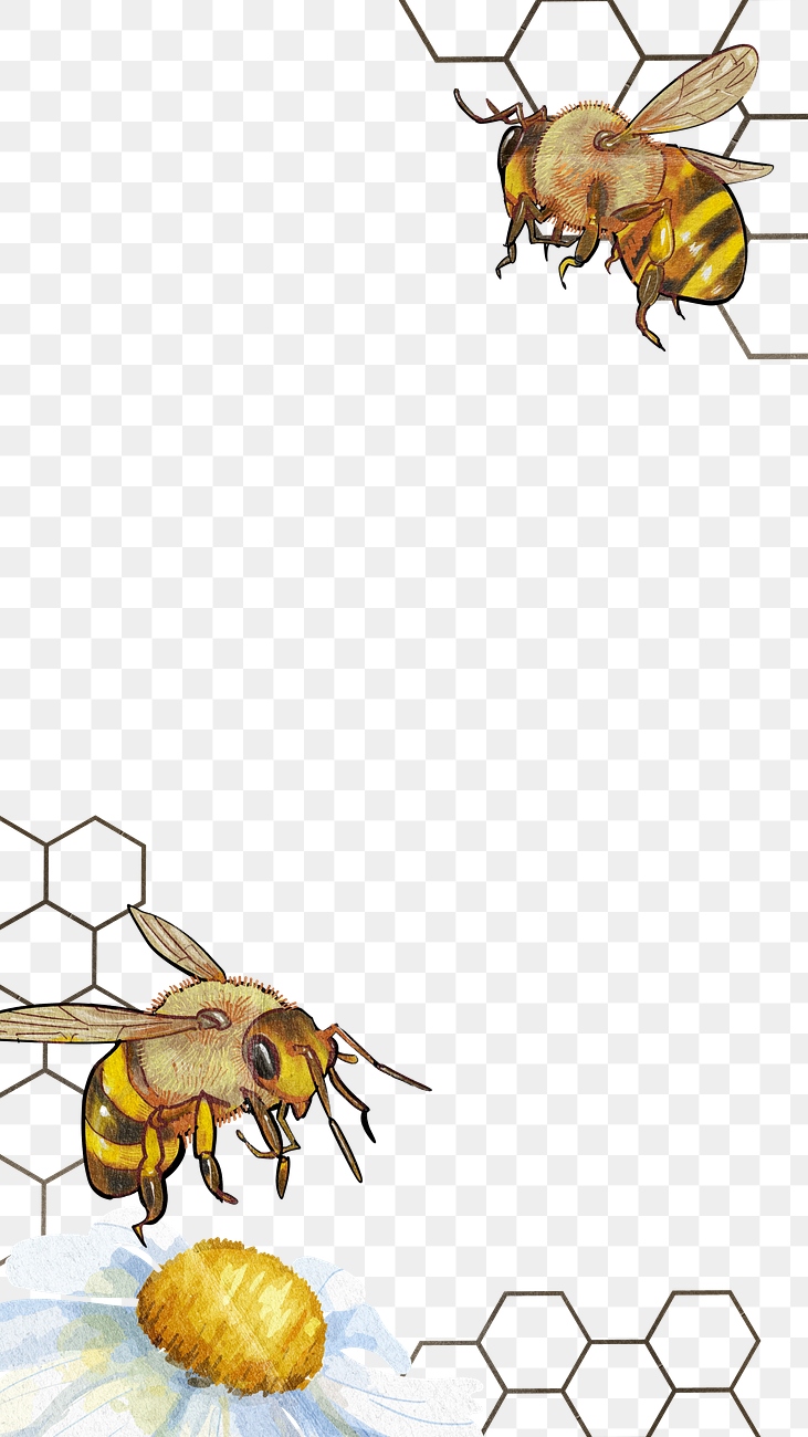 Bees flower border png, transparent | Premium PNG - rawpixel