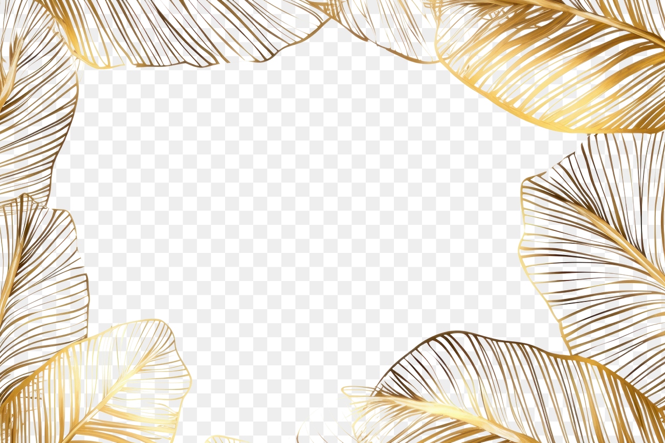 PNG Monstera border frame backgrounds | Free PNG - rawpixel