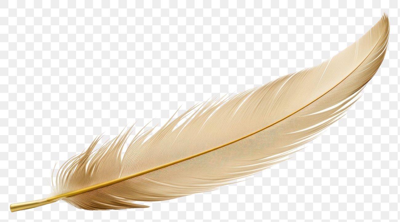 PNG Quill white background lightweight | Premium PNG - rawpixel