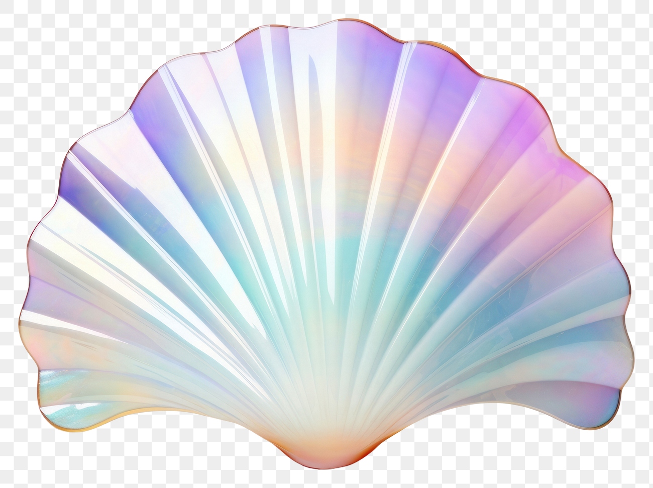 PNG Shell seashell clam | Premium PNG - rawpixel