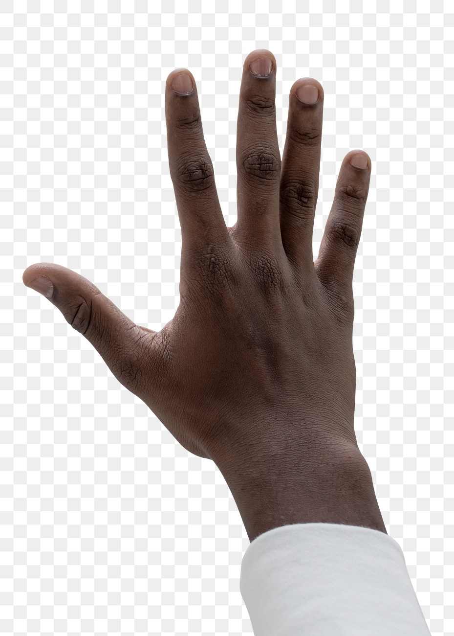 Hand transparent png | Free PNG Sticker - rawpixel