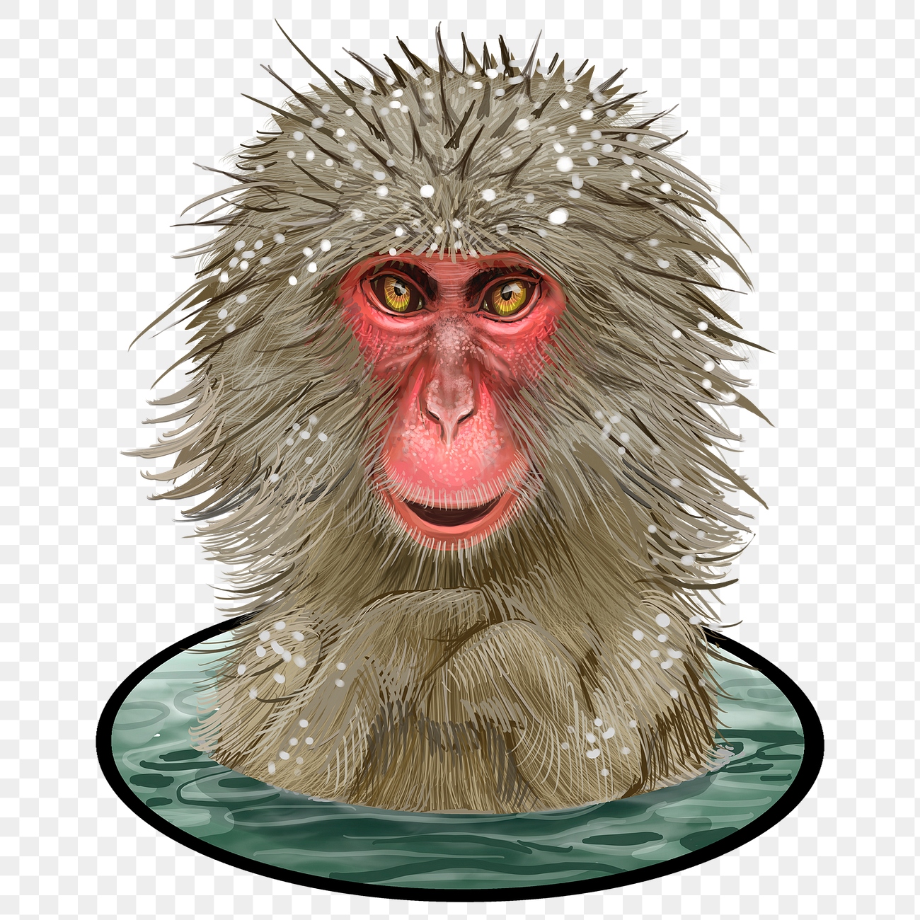 Japanese macaques png sticker, bathing | Premium PNG - rawpixel