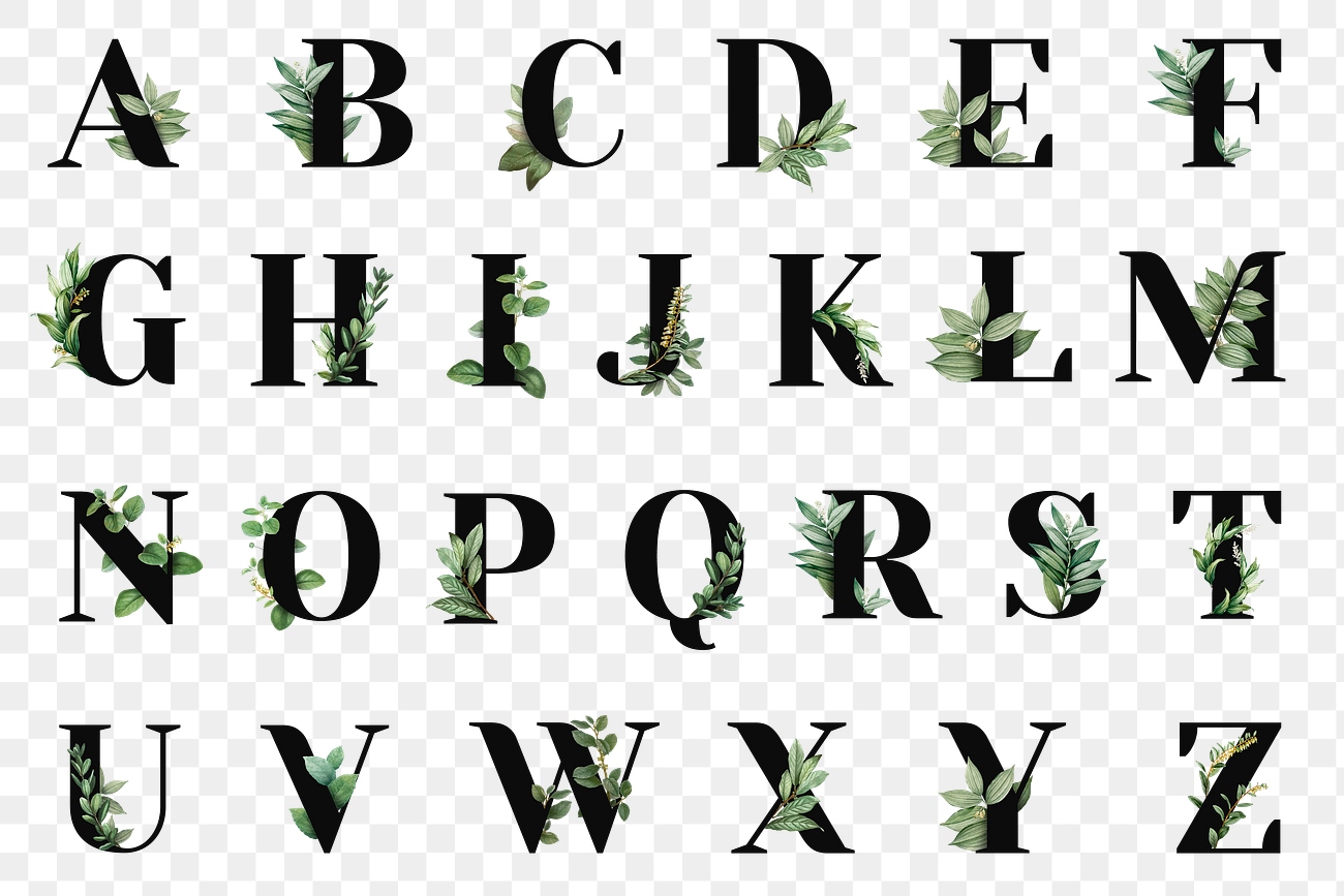 Floral Alphabet | Free Vector, PSD & PNG Letter Alphabet & Calligraphy Fonts - rawpixel