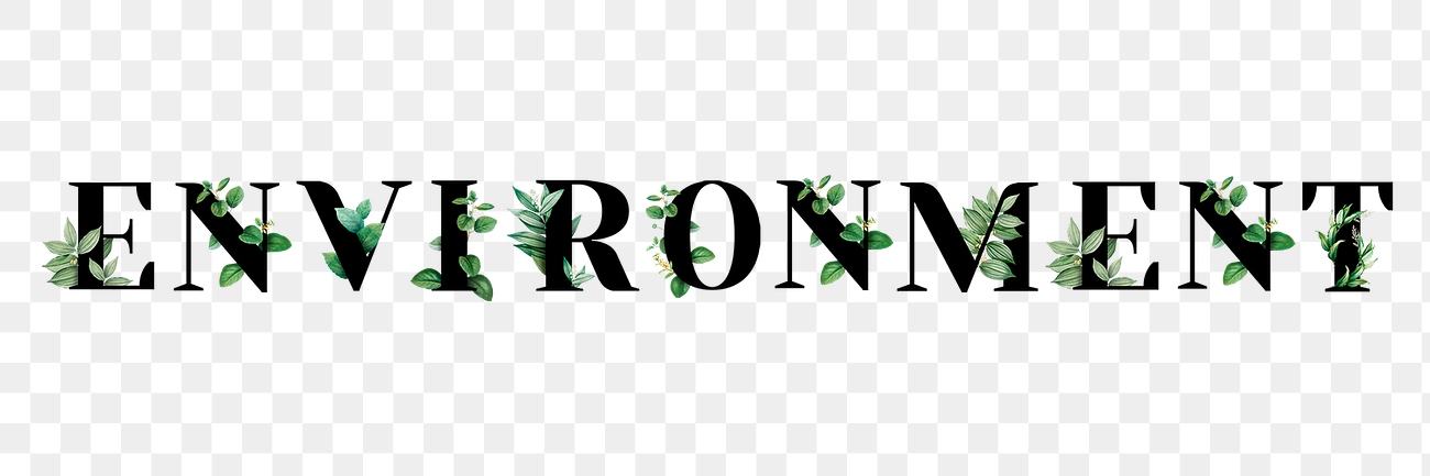 Botanical ENVIRONMENT png word typography | Premium PNG Sticker - rawpixel