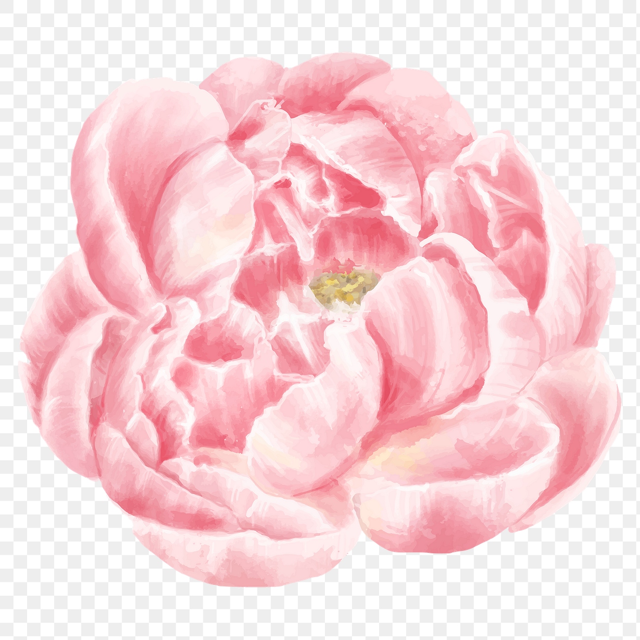 Pink peony flower sticker png | Premium PNG Sticker - rawpixel