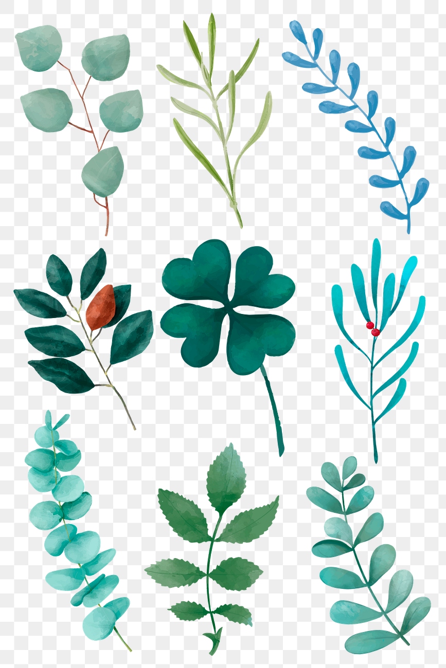 Green leaves sticker png watercolor | Premium PNG - rawpixel