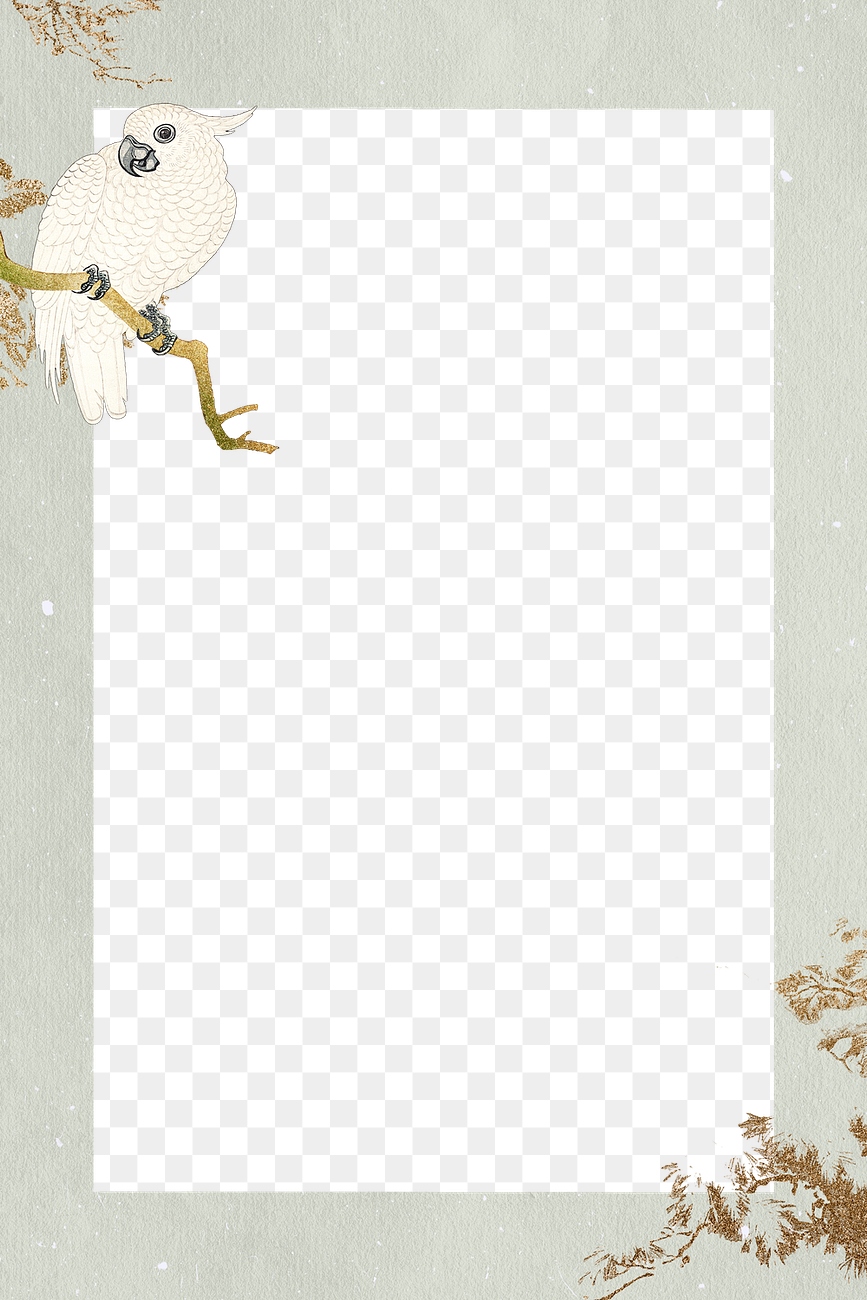 Parrot sitting branch frame design | Premium PNG - rawpixel