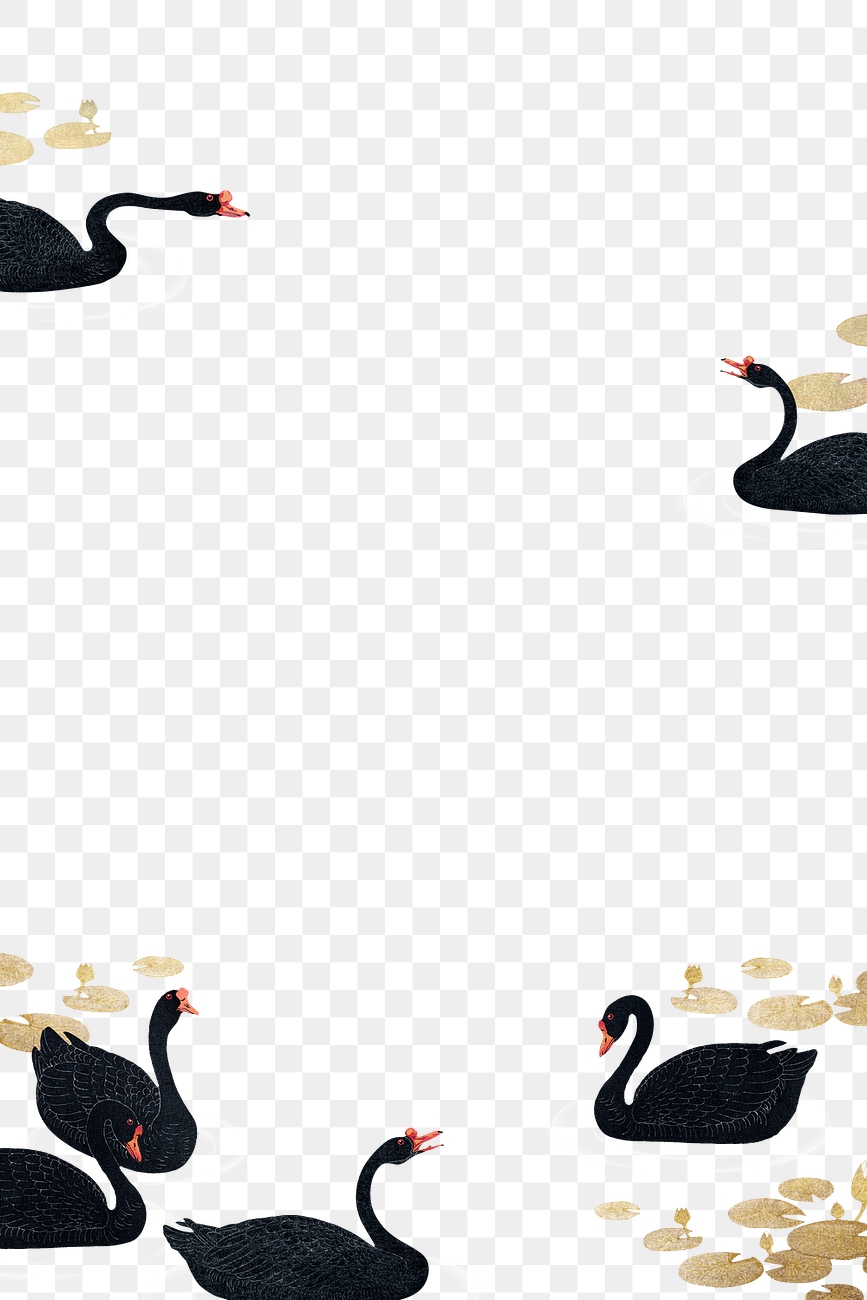 Black geese frame design element | Premium PNG - rawpixel