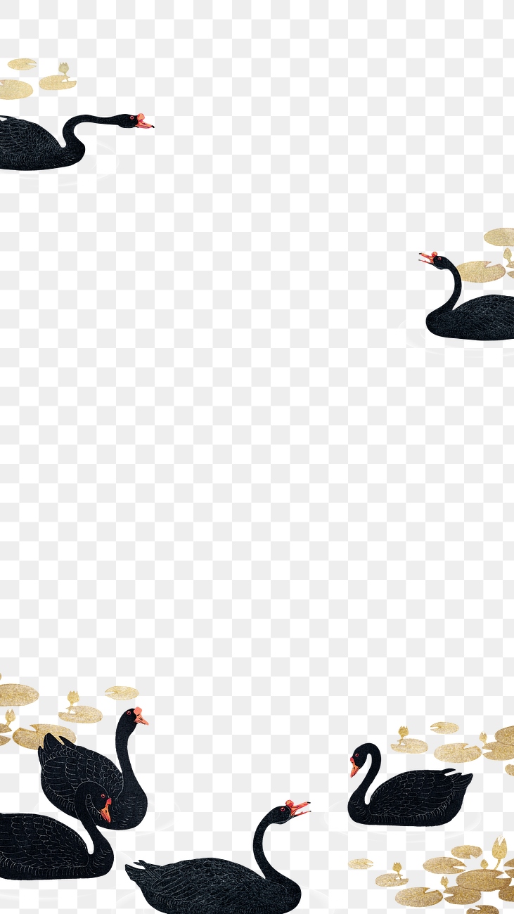 Black geese frame design element | Free PNG - rawpixel
