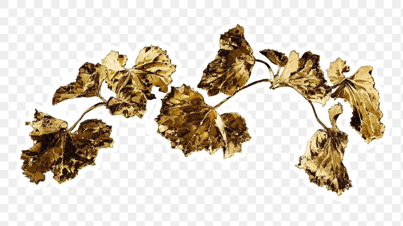 Vintage gold vine sticker with a white | Free PNG Sticker - rawpixel
