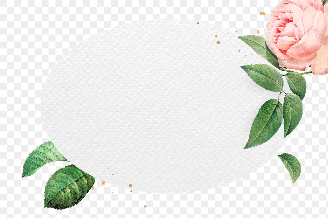 Pink cabbage rose oval frame | Premium PNG - rawpixel