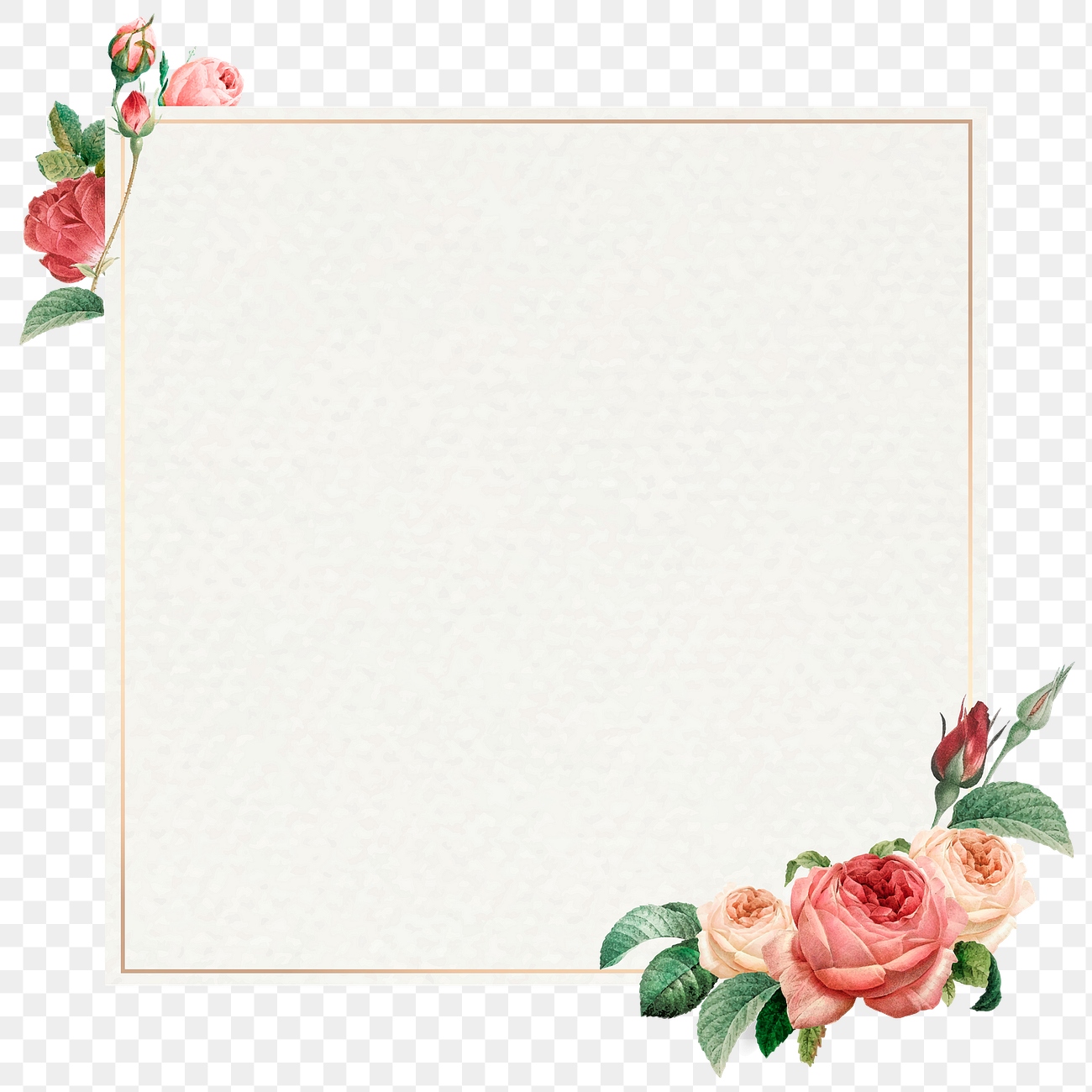 Pink cabbage rose pattern gold | Premium PNG - rawpixel