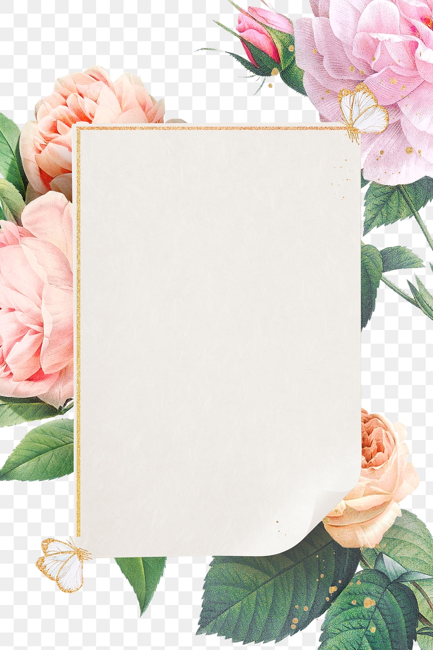 Pink cabbage rose pattern gold | Premium PNG - rawpixel