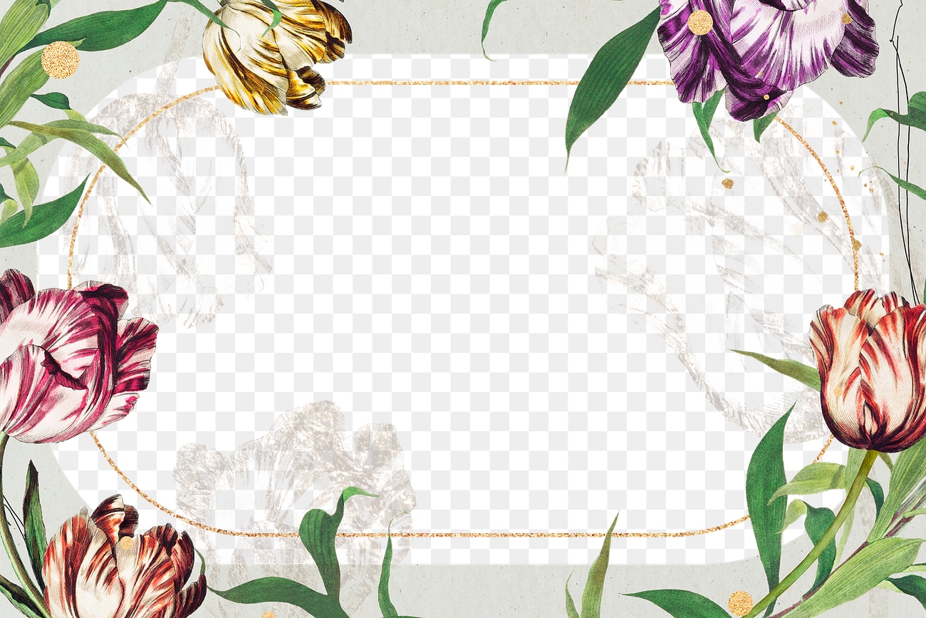 Vintage tulip flower frame design | Premium PNG - rawpixel