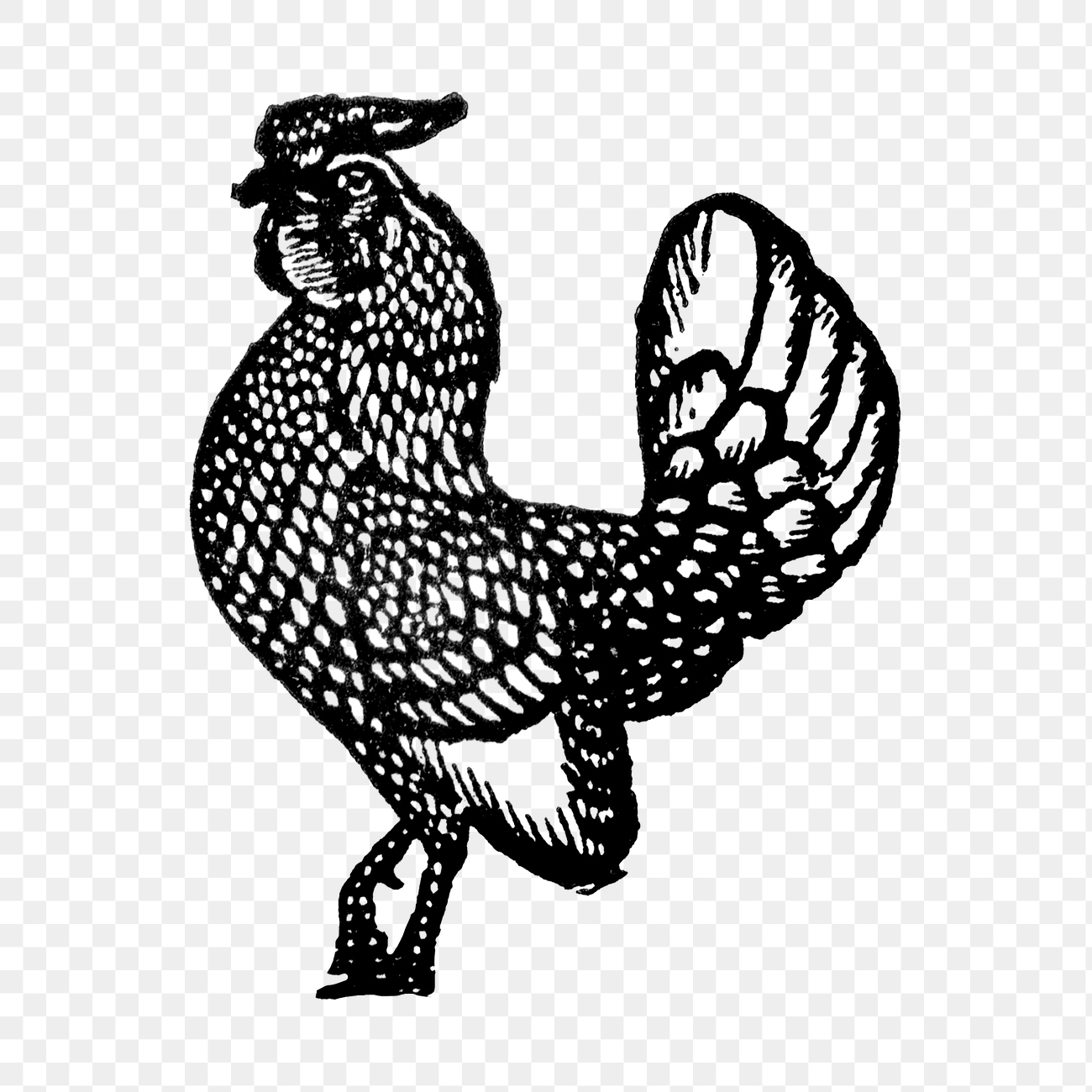 Chicken sticker png, black ink | Premium PNG - rawpixel