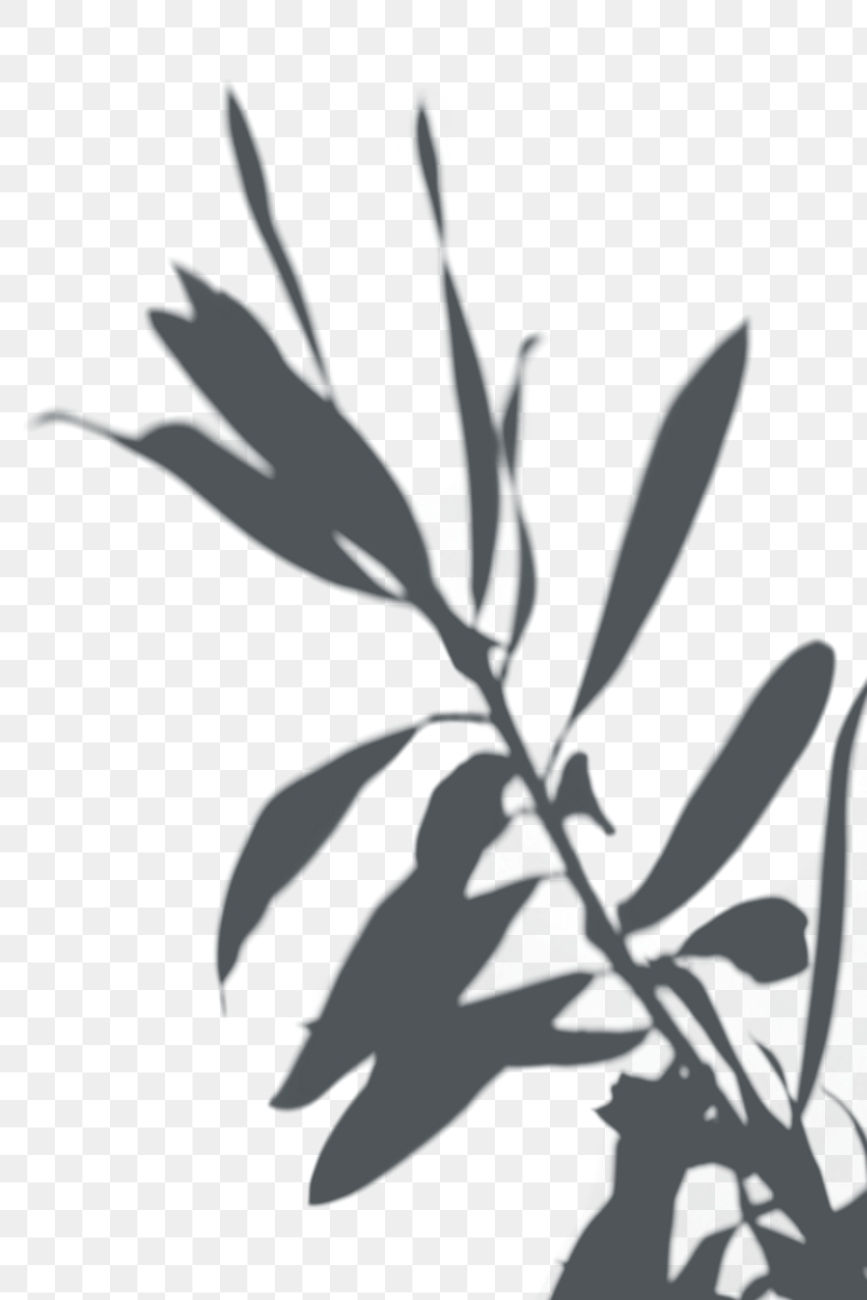 PNG Shadow leaves, transparent background | Premium PNG Sticker - rawpixel