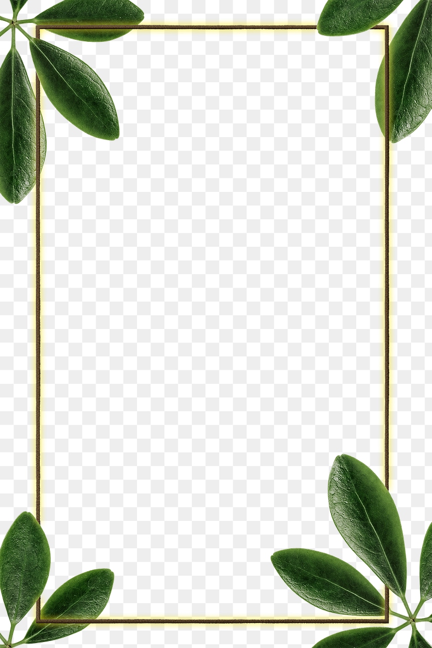 Green leaves rectangle frame design | Premium PNG - rawpixel