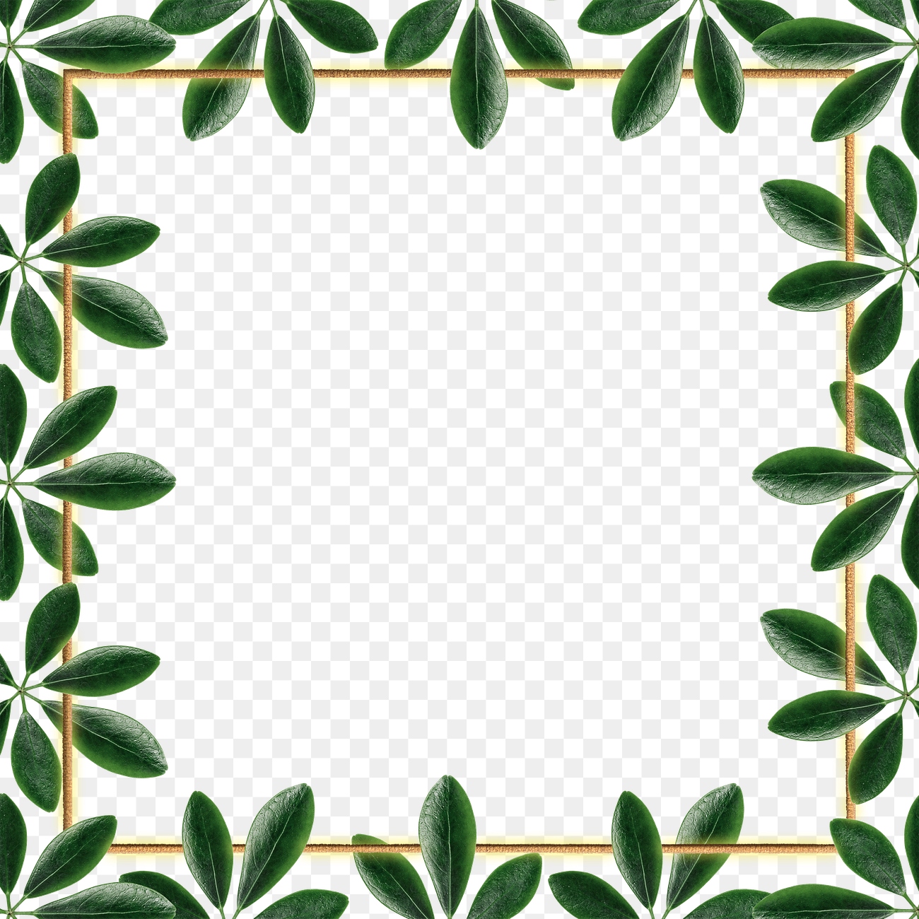 Green leaves with square frame | Free PNG - rawpixel