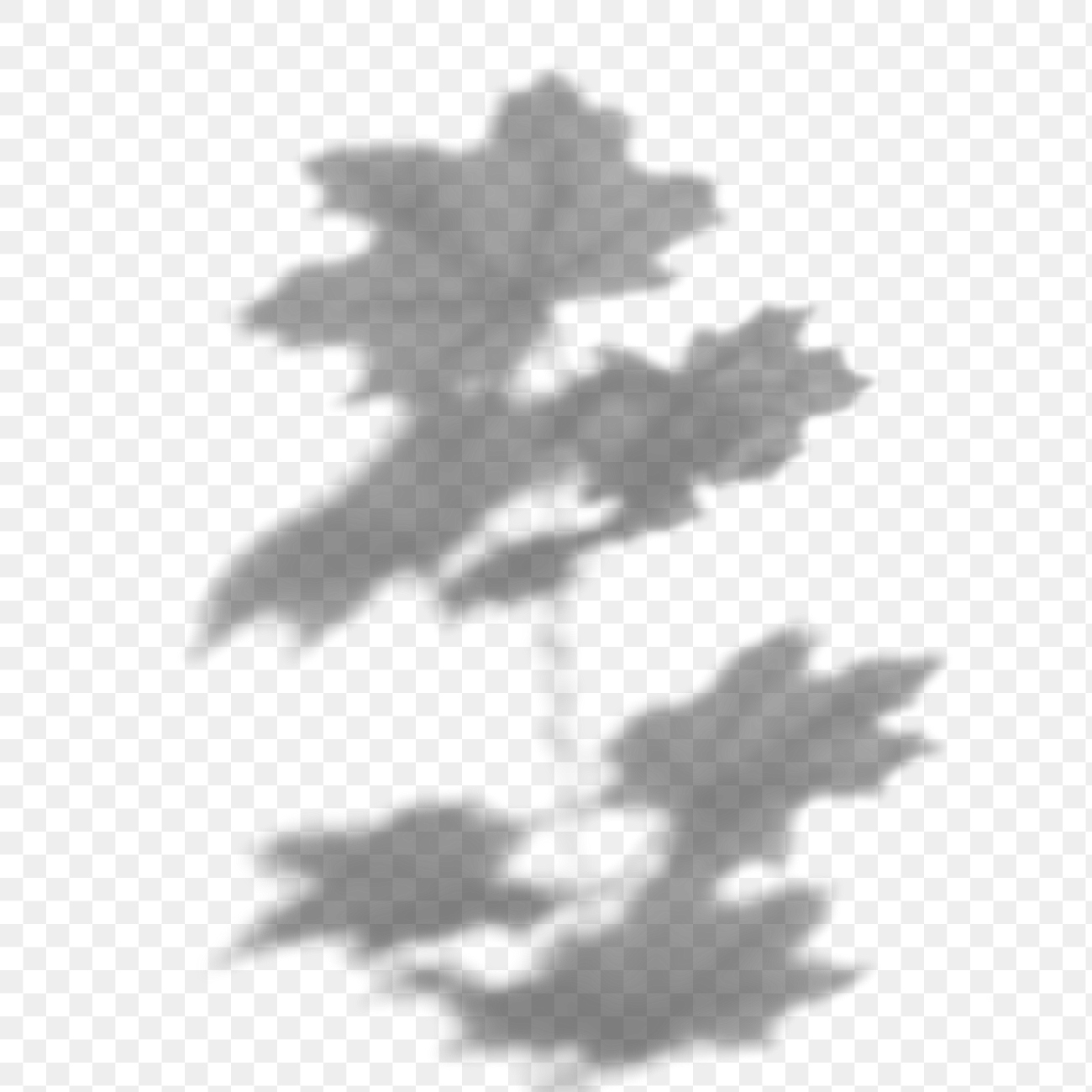 Shadow of leaves design element | Free PNG - rawpixel