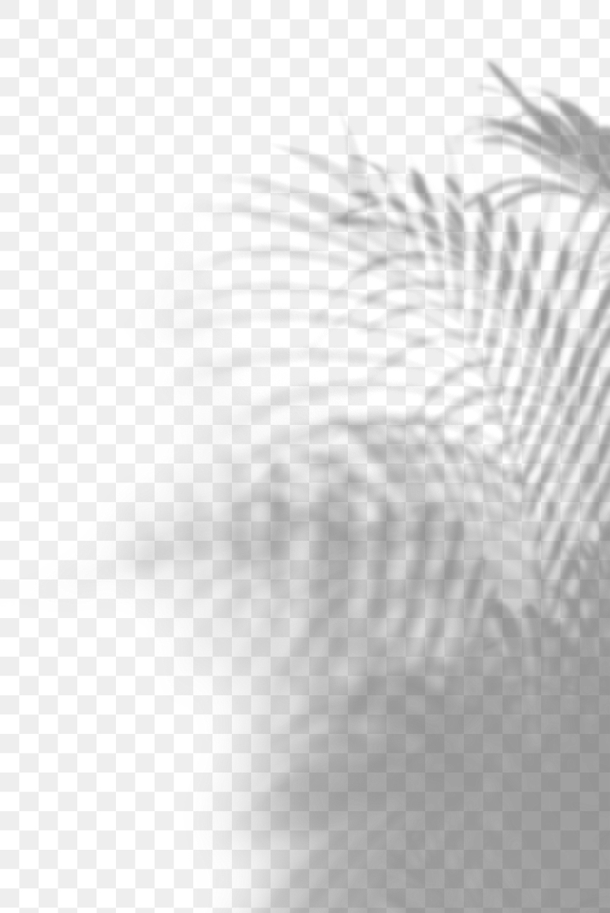Shadow palm leaves design element | Premium PNG - rawpixel