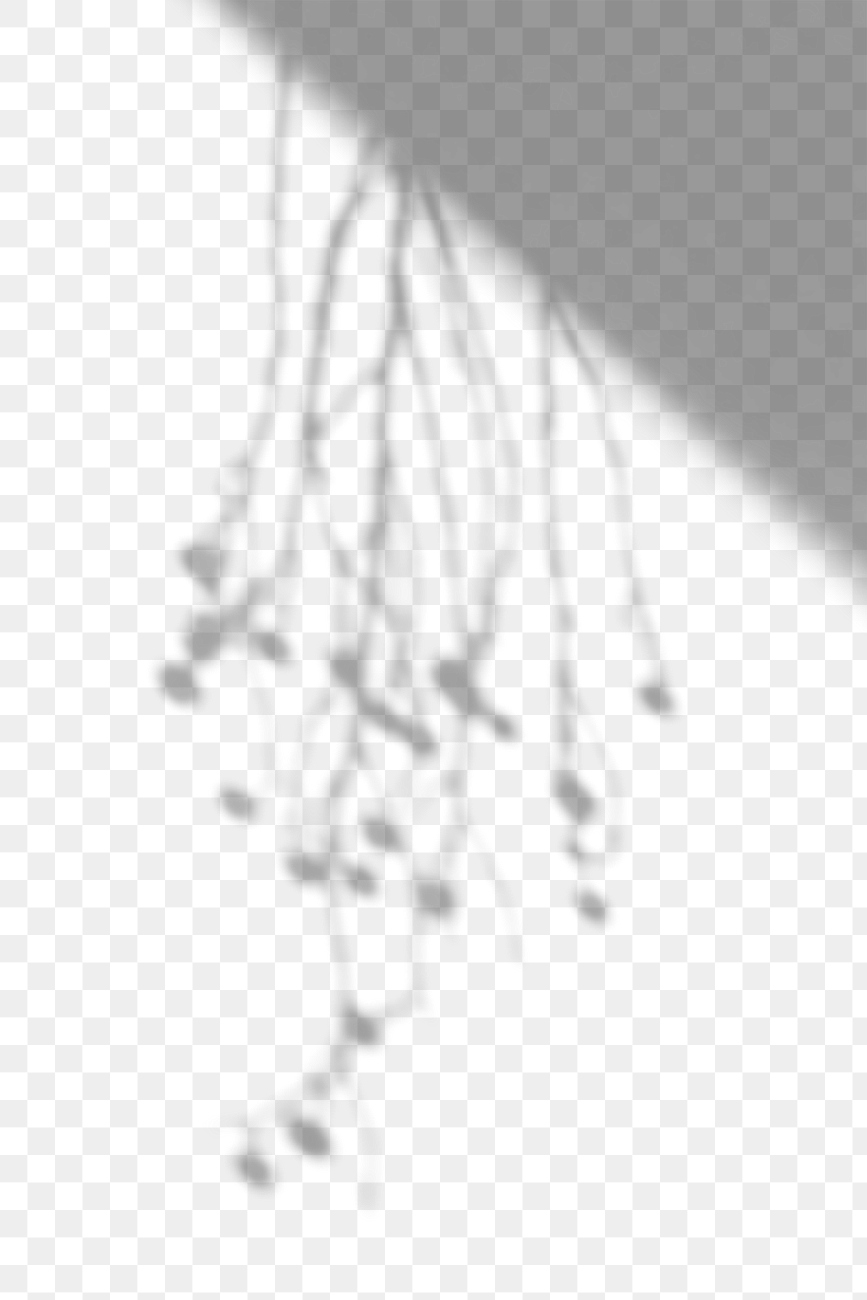 Shadow hanging plant design element | Premium PNG - rawpixel