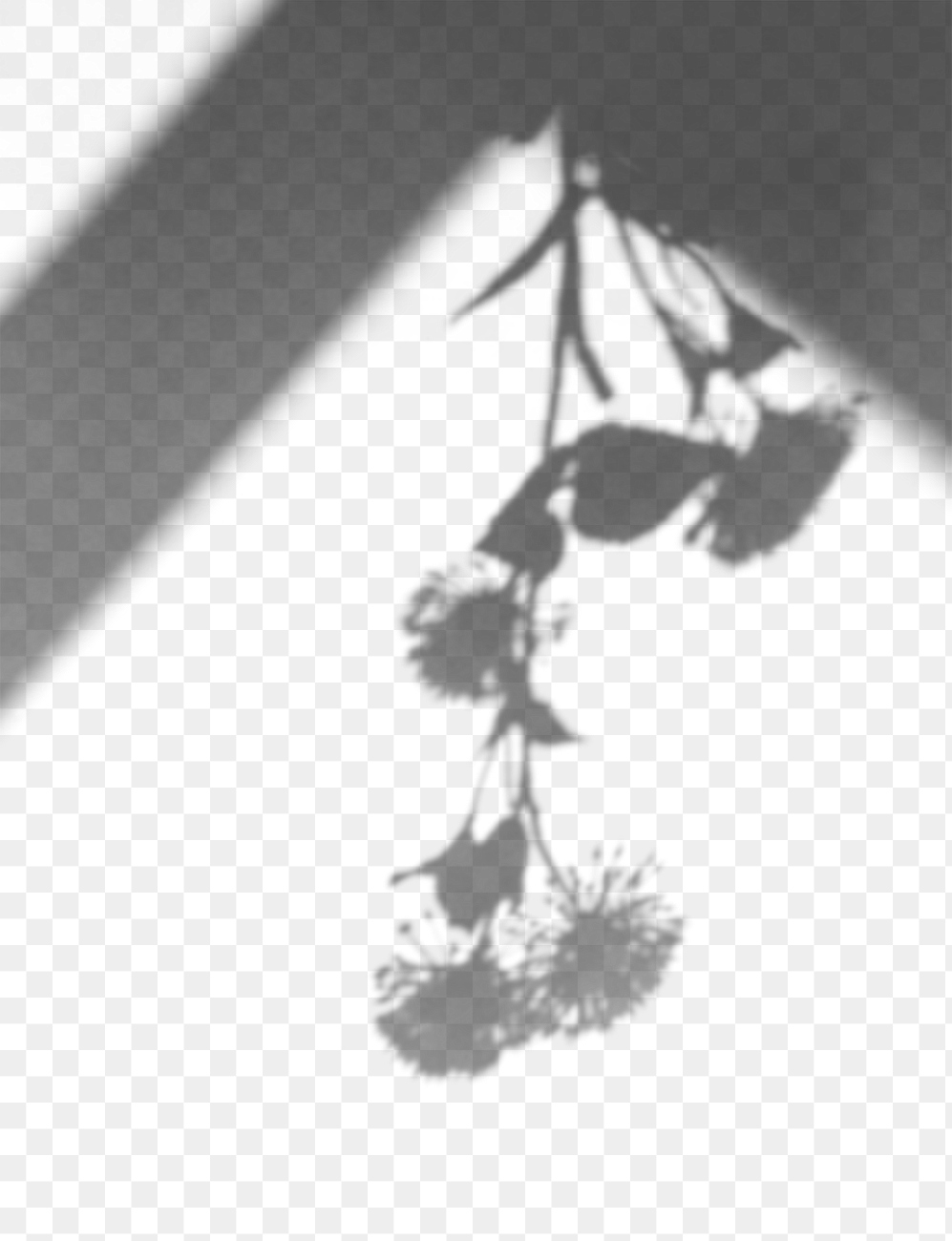 Shadow hanging flower design element | Premium PNG - rawpixel