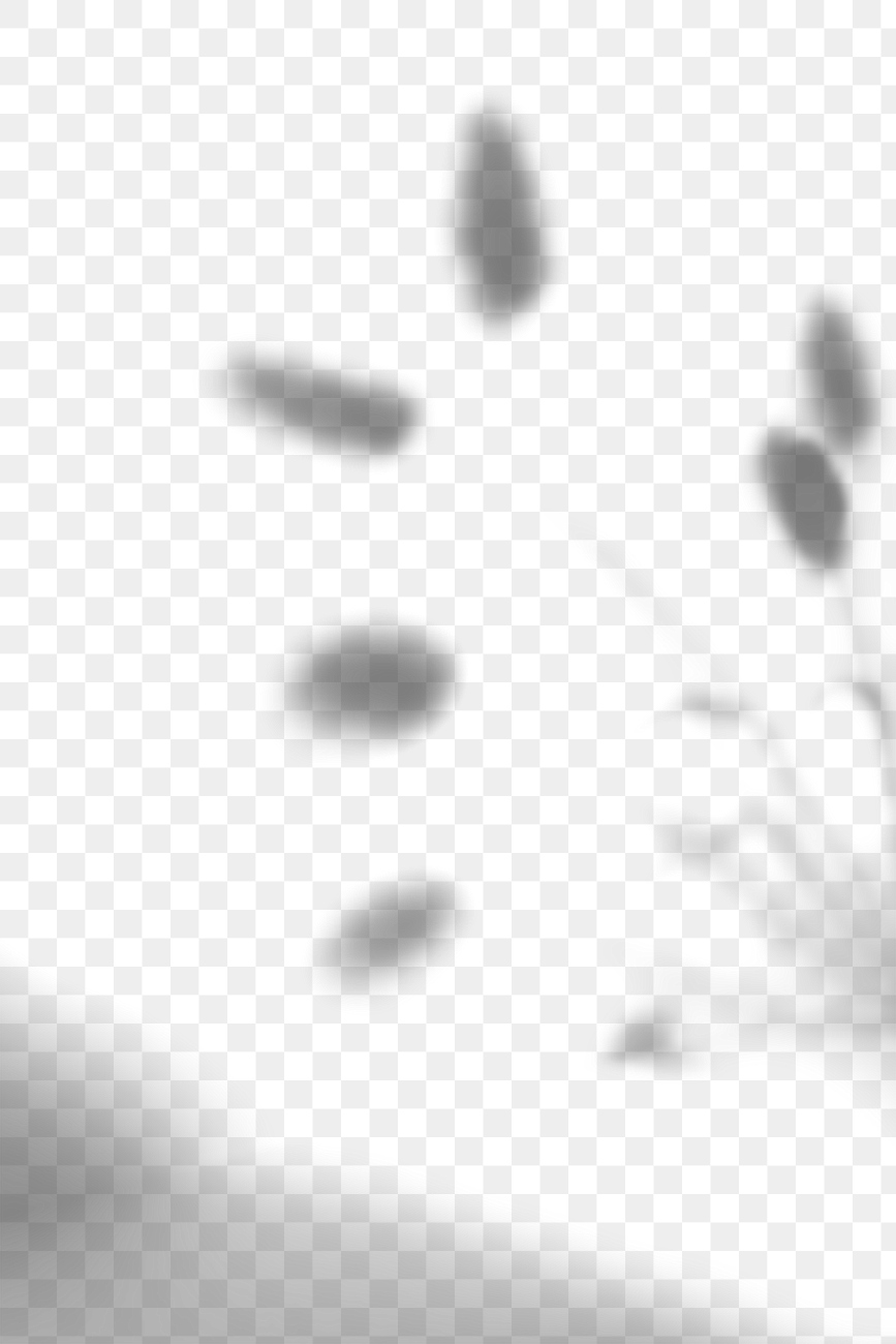 Shadow of leaves design element | Premium PNG - rawpixel