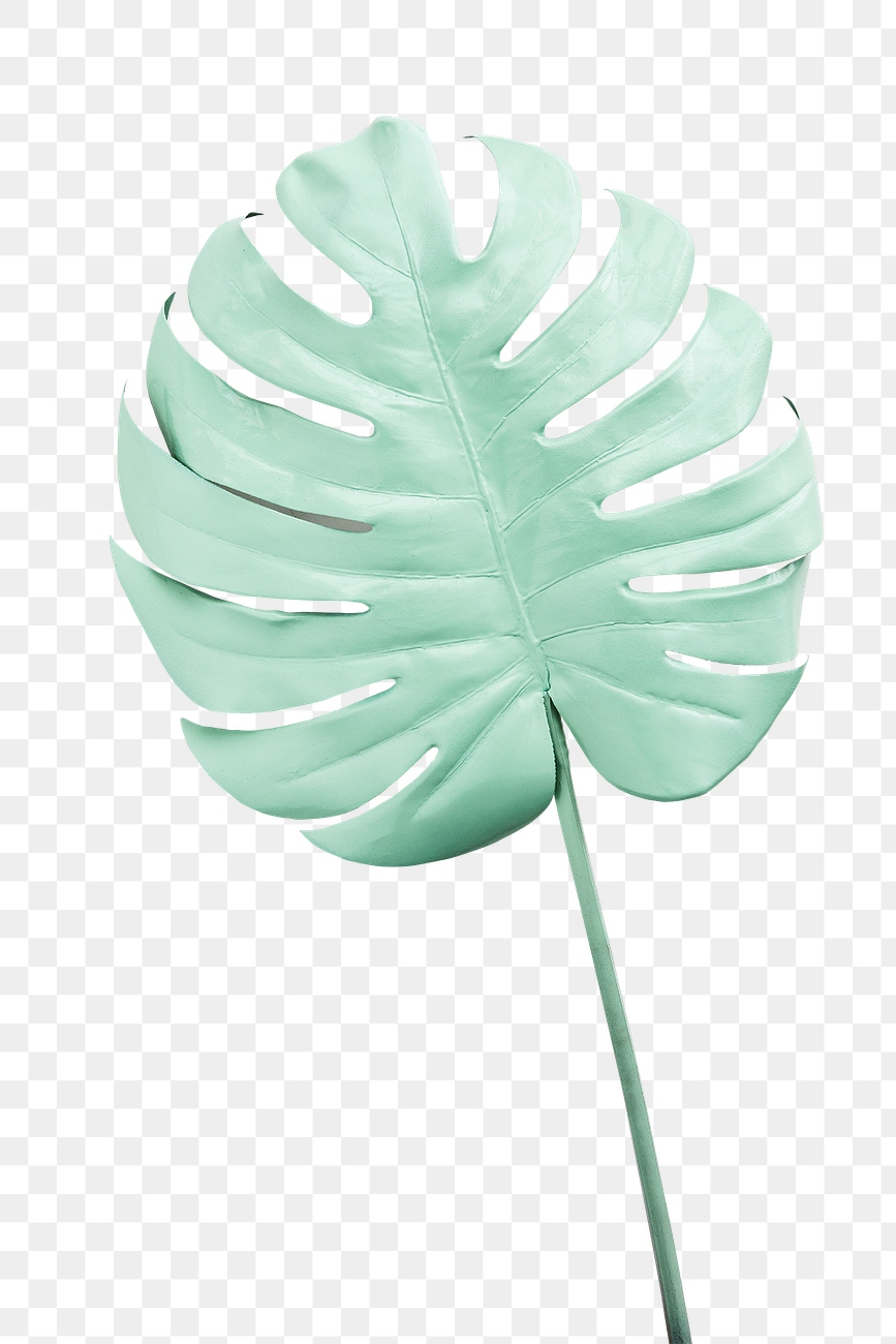 Monstera leaf painted mint green | Premium PNG Sticker - rawpixel