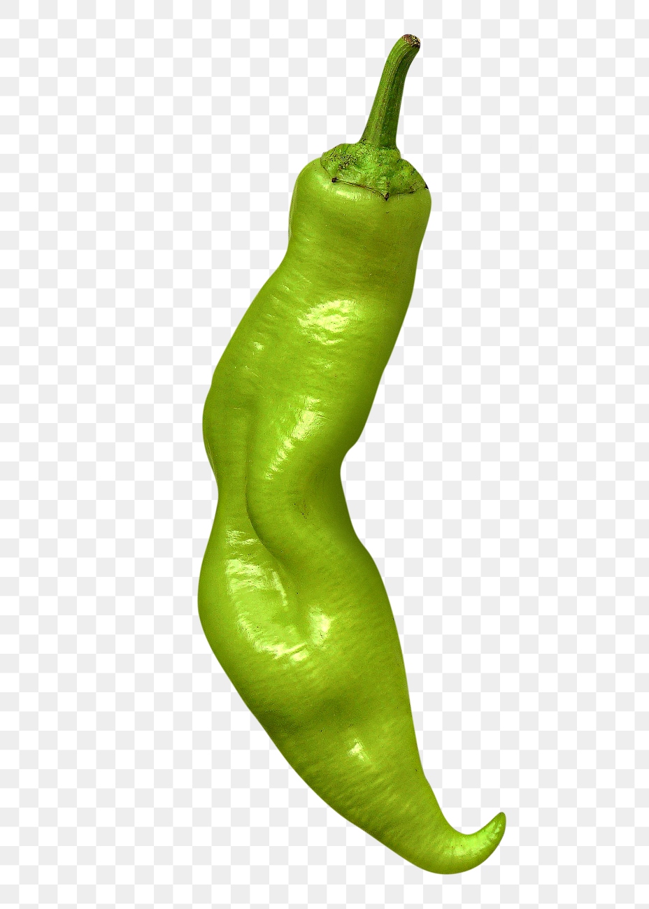 Green chili png pepper clipart, | Free PNG - rawpixel
