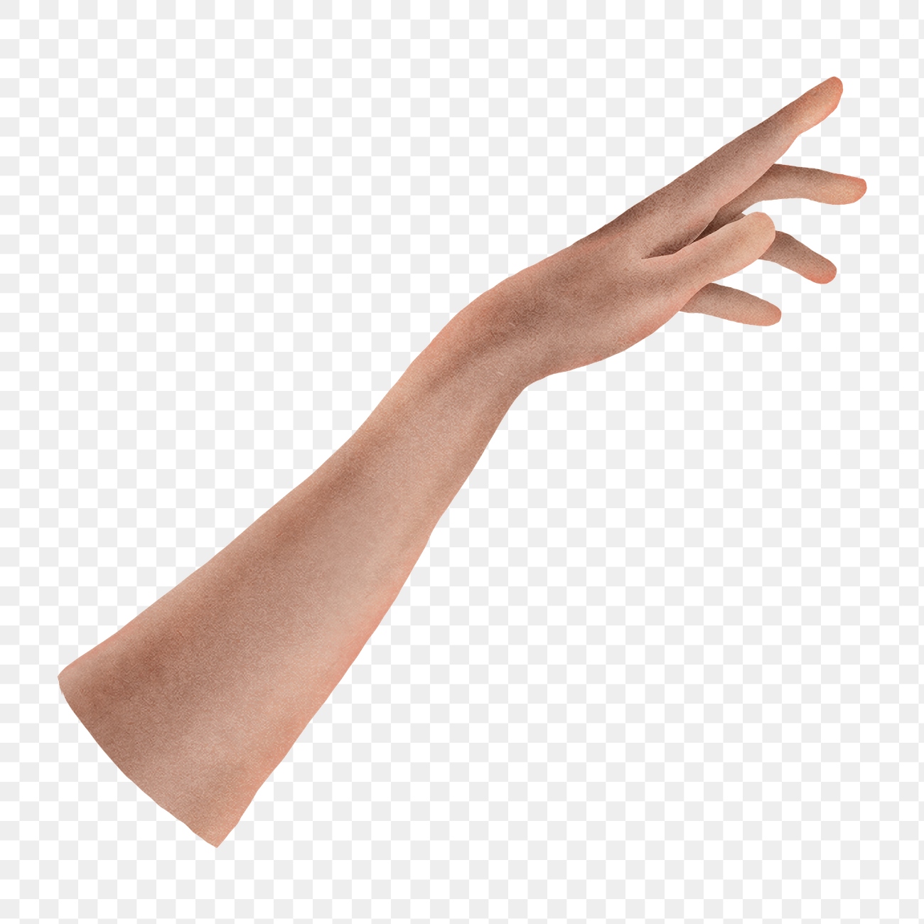 Female hand png sticker, simple | Premium PNG Sticker - rawpixel