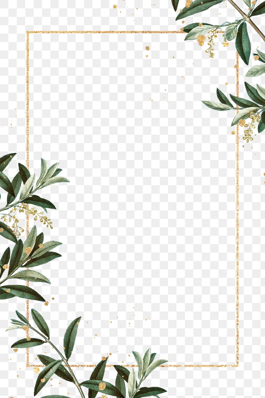 Olive branches frame png hand | Premium PNG - rawpixel