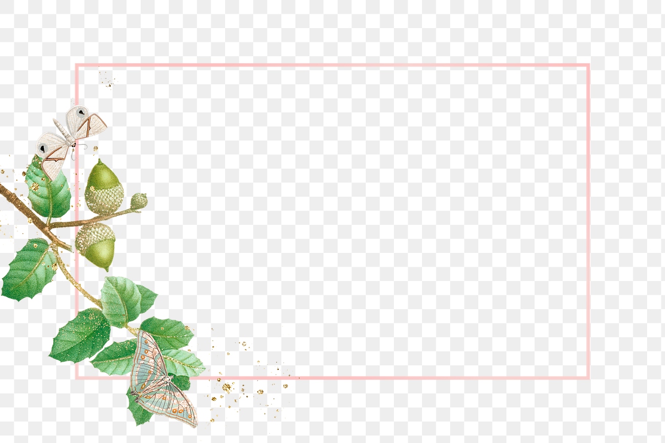 Botanical frame png oak leaves | Free PNG - rawpixel
