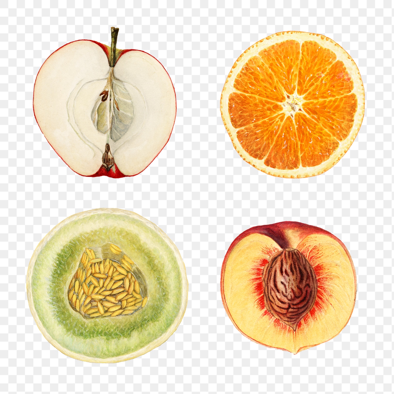 Hand drawn mixed tropical fruit | Premium PNG - rawpixel